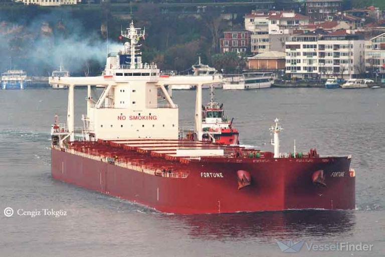 FORTUNE, Bulk Carrier - Detalles del buque y posición actual - IMO ...