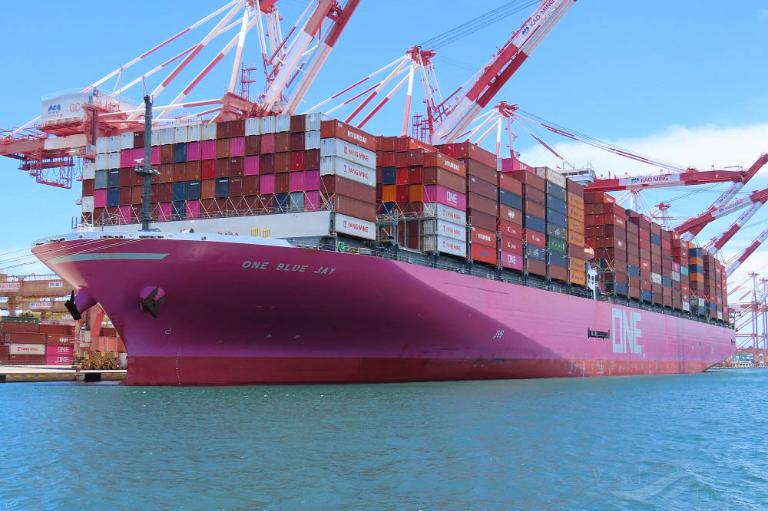 ONE BLUE JAY, Container Ship - Details and current position - IMO ...