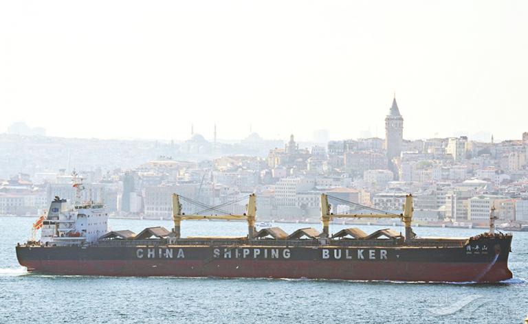 QING PING SHAN, Bulk Carrier - Détails du bateau et situation actuelle ...