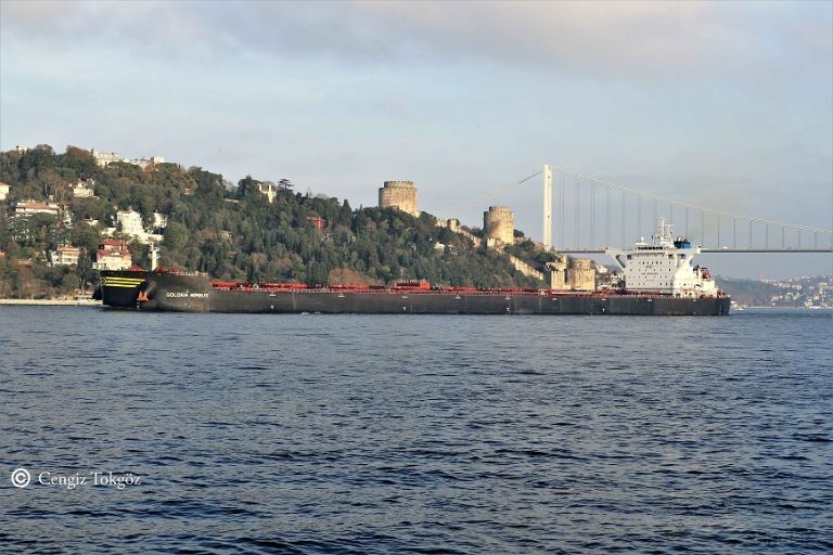 GOLDEN NIMBUS, Bulk Carrier - Данные судна и текущее положение - IMO ...