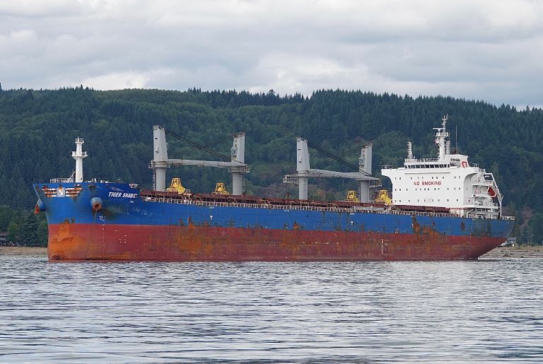 SHANGHAI EAGLE, Bulk Carrier - Details and current position - IMO 9743588 - VesselFinder