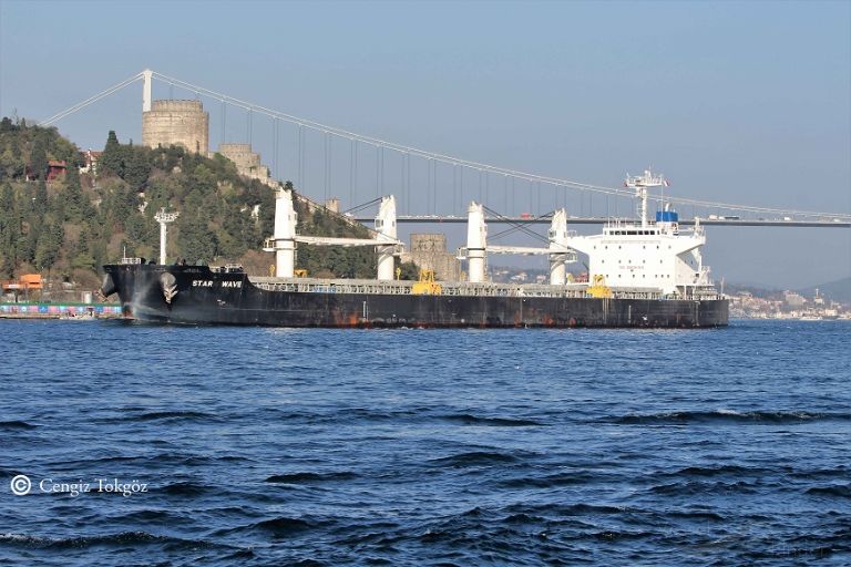 MV STAR WAVE, Bulk Carrier - Details and current position - IMO 9746009 ...