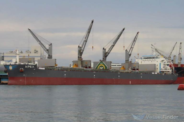 APEX, Bulk Carrier - Details and current position - IMO 9746798 ...