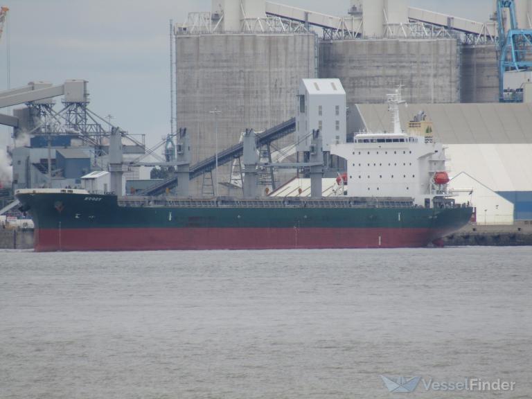 WOODY, Bulk Carrier - Details and current position - IMO 9747156 ...