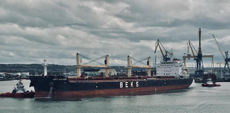 BEKS MUNEVVER, Bulk Carrier - Details and current position - IMO ...
