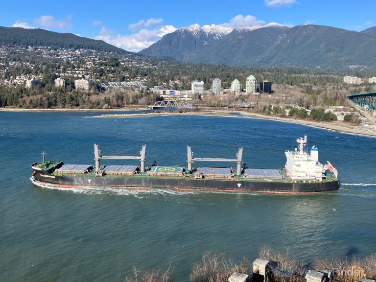 DSI ANDROMEDA, Bulk Carrier - Details and current position - IMO ...