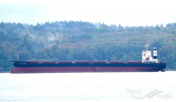 DSI AQUARIUS, Bulk Carrier - Details and current position - IMO 9749269 ...