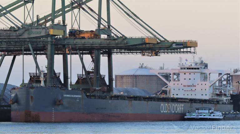 HANNES OLDENDORFF, Bulk Carrier - Schiffsdaten und aktuelle Position ...
