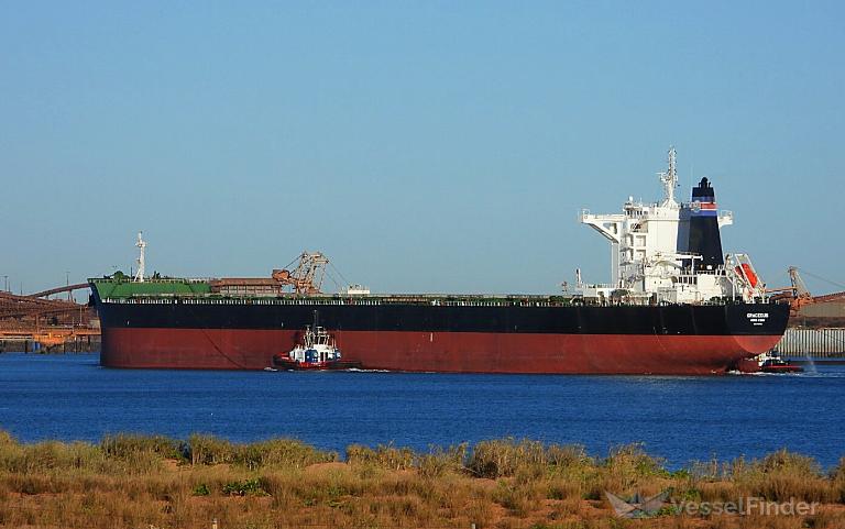 GRACEOUS, Bulk Carrier - Details and current position - IMO 9751119 ...
