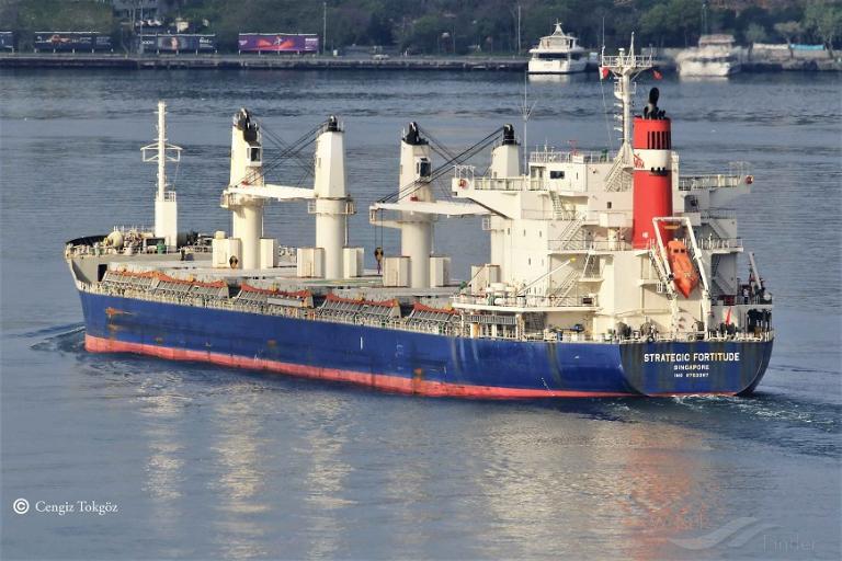 STRATEGIC FORTITUDE, Bulk Carrier - Details and current position - IMO ...