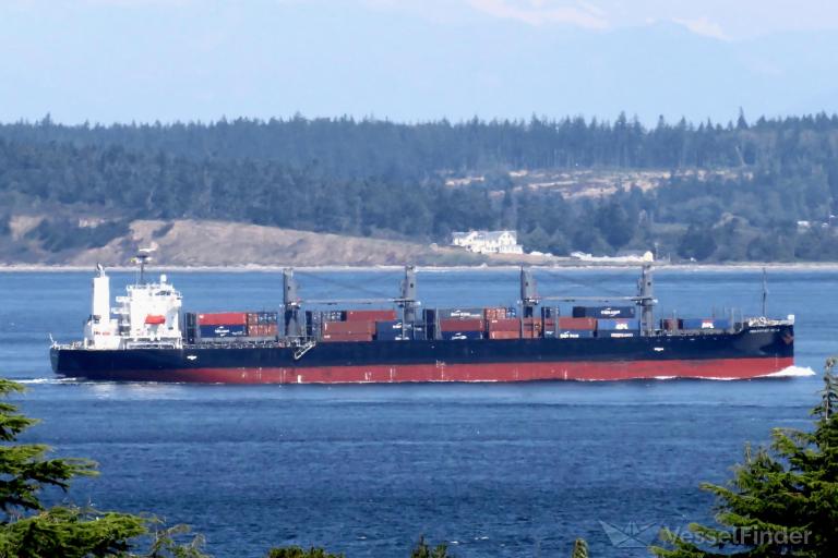 CENTURION MEVIA, Bulk Carrier - Details and current position - IMO ...