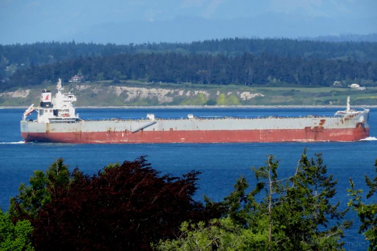 Free AIS Ship Tracking of Marine Traffic - VesselFinder