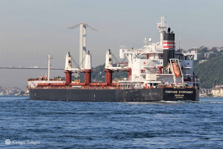ASL SYMPHONY, Bulk Carrier - Details and current position - IMO 9758363 ...