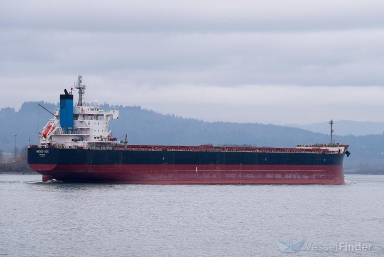 INDIGO ACE, Bulk Carrier - Detalles del buque y posición actual - IMO ...