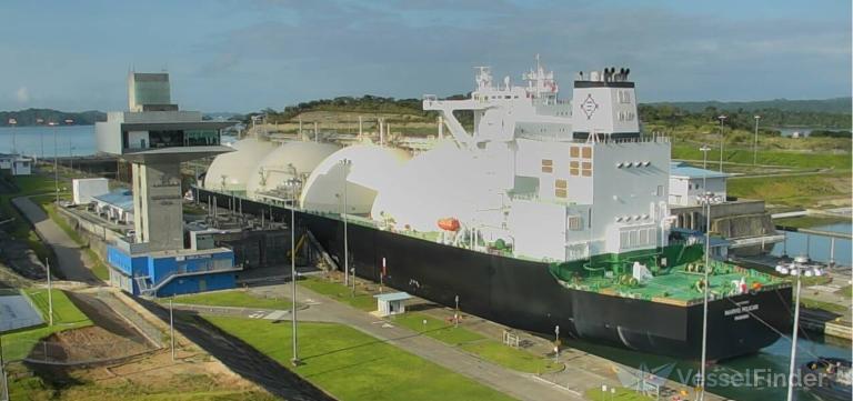 MARVEL PELICAN, LNG Tanker - Details and current position - IMO 9759252 ...