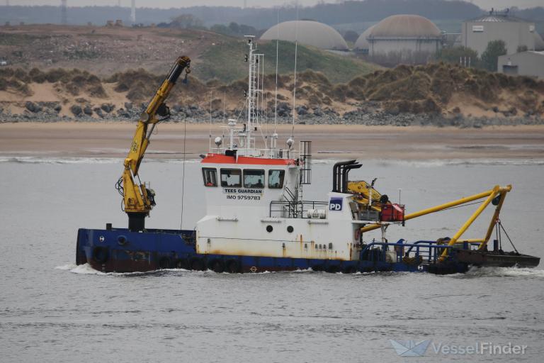 TEES GUARDIAN, Pusher Tug - Details and current position - IMO 9759783 ...