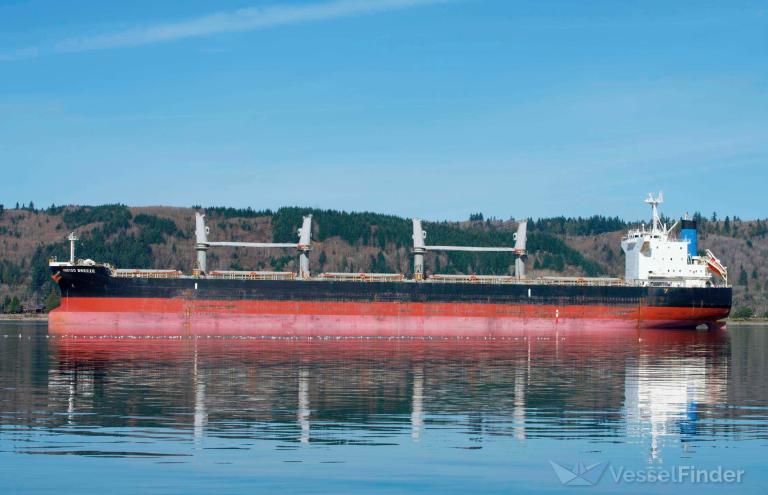 INDIGO BREEZE, Bulk Carrier - Details and current position - IMO ...