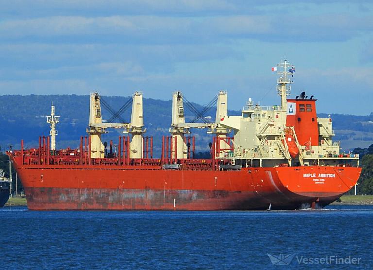 MAPLE AMBITION, Bulk Carrier - Details and current position - IMO ...