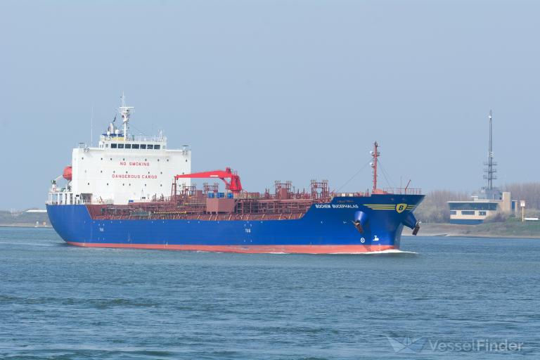 BOCHEM BUCEPHALAS, Chemical/Oil Products Tanker - Details and current ...