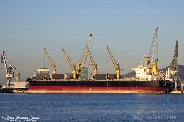 TOP GRACE, Bulk Carrier - Details and current position - IMO 9763875 ...