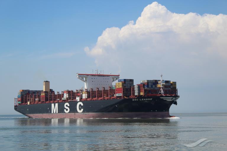 MSC LEANNE, Container Ship - Details and current position - IMO 9767390 ...
