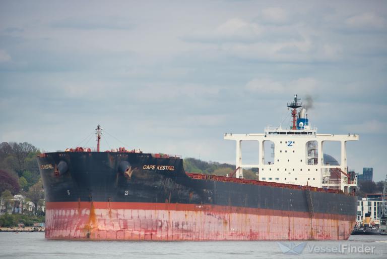 CAPE KESTREL, Bulk Carrier - Details and current position - IMO 9767510 ...