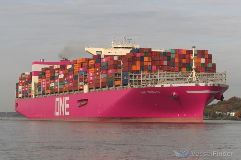 ONE TRIBUTE, Container Ship - Details and current position - IMO ...