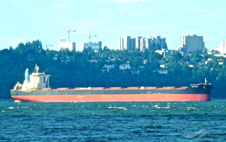 NSU SIRIUS, Bulk Carrier - Details and current position - IMO 9774379 ...
