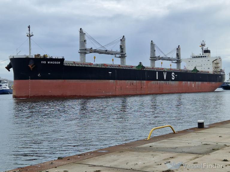 IVS WINDSOR, Bulk Carrier - Details and current position - IMO 9774458 ...