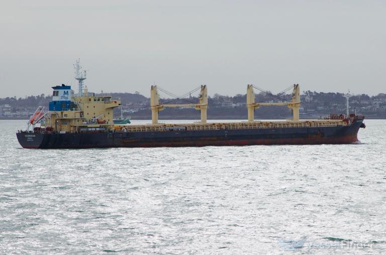 GOLDEN GRAINS, Bulk Carrier - Details and current position - IMO ...