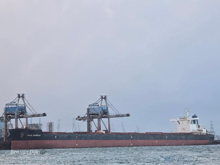 TRUE CONRAD, Bulk Carrier - Details and current position - IMO 9778430 ...