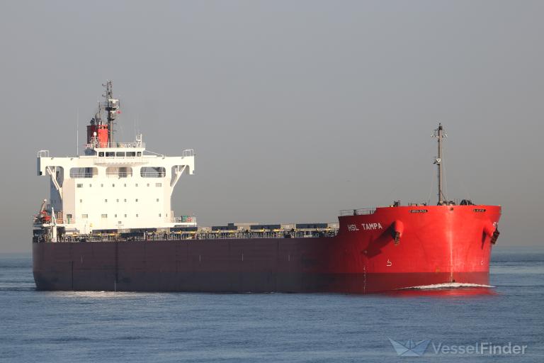 HSL TAMPA, Bulk Carrier - Details and current position - IMO 9781035 ...