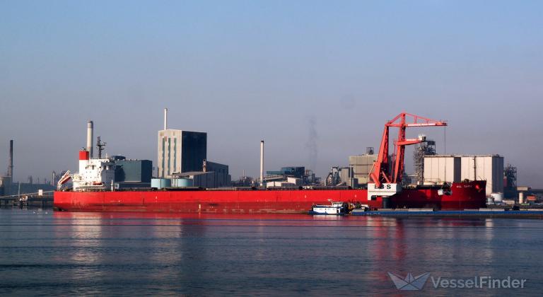 HSL TAMPA, Bulk Carrier - Details and current position - IMO 9781035 ...