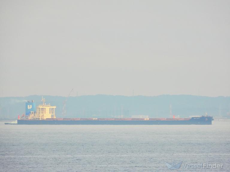 NSU TRUST, Bulk Carrier - Details and current position - IMO 9782297 ...