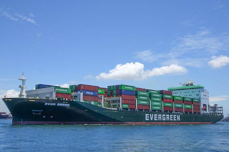 EVER BREED, Container Ship - Details and current position - IMO 9784154 ...