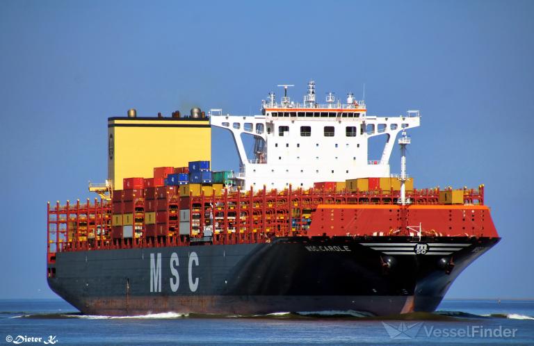 MSC CAROLE, Container Ship - Details and current position - IMO 9785445 ...