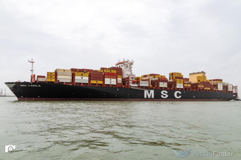 MSC CAROLE, Container Ship - Schiffsdaten und aktuelle Position - IMO ...