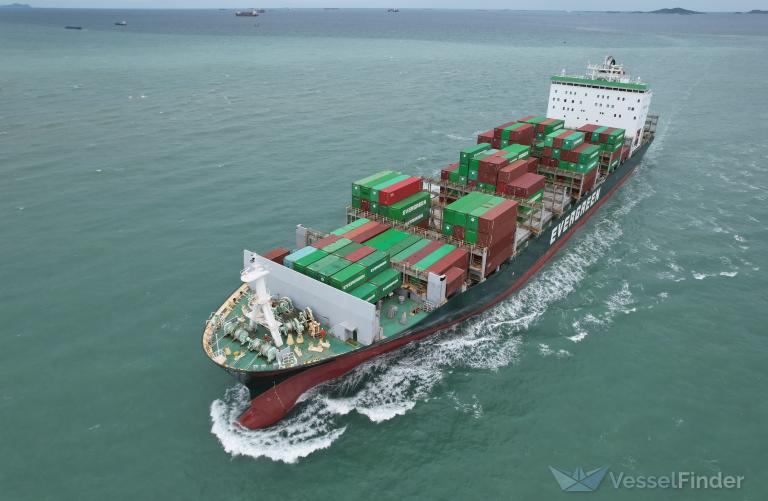EVER BUILD, Container Ship - Details and current position - IMO 9790062 ...