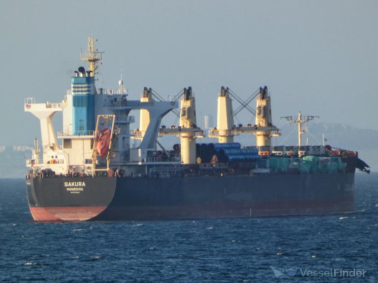 SAKURA L, Bulk Carrier - Details and current position - IMO 9792448 ...