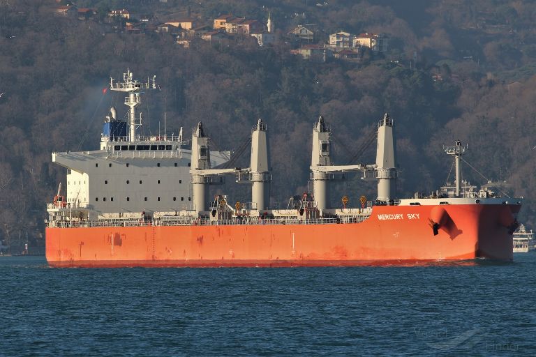 MERCURY SKY, Bulk Carrier - Details and current position - IMO 9796949 ...