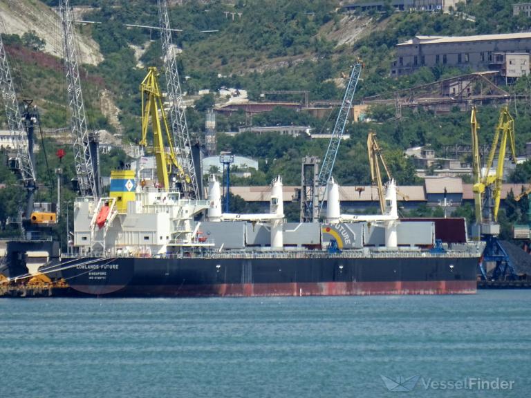 LOWLANDS FUTURE, Bulk Carrier - Details and current position - IMO 9799771 - VesselFinder