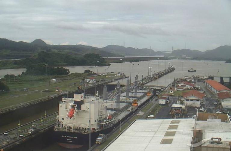 OCEAN PHOENIX TREE, Bulk Carrier - Detalles del buque y posición actual ...