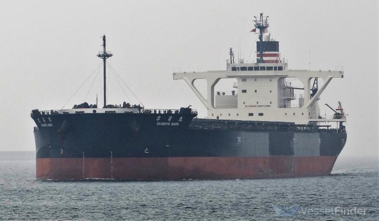 SHINRYO MARU, Bulk Carrier - Details and current position - IMO 9799812 ...