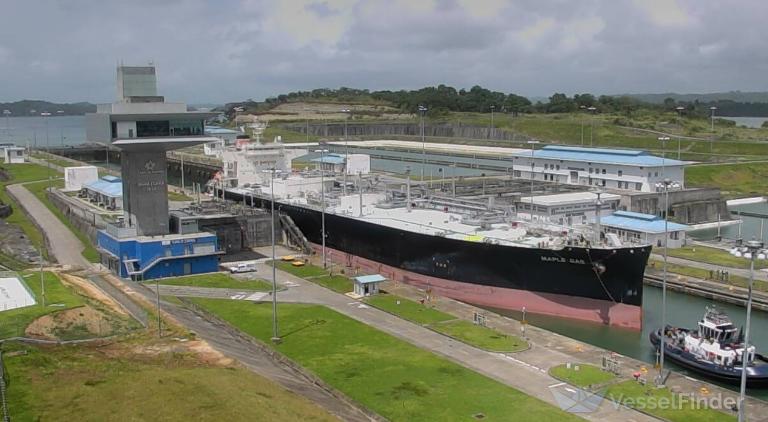 MAPLE GAS, LPG Tanker - Details and current position - IMO 9800491 - VesselFinder