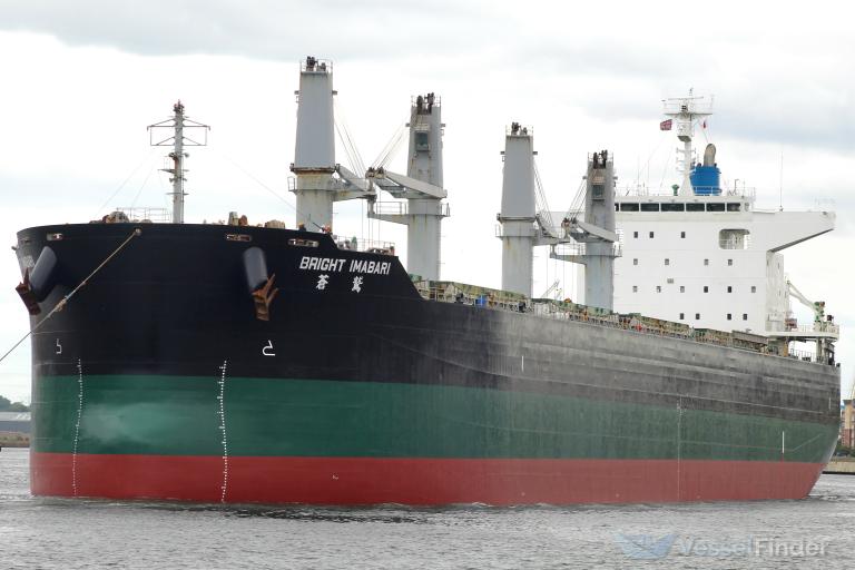 BRIGHT IMABARI, Bulk Carrier - Details and current position - IMO ...