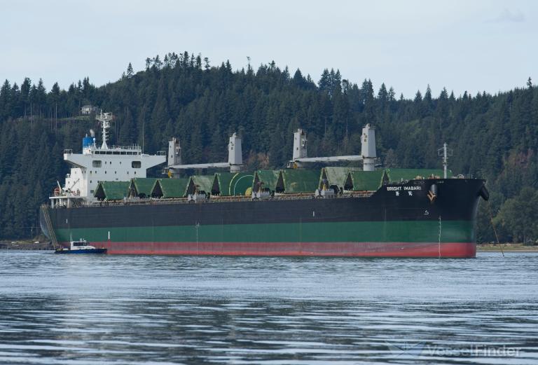 BRIGHT IMABARI, Bulk Carrier - Details and current position - IMO ...