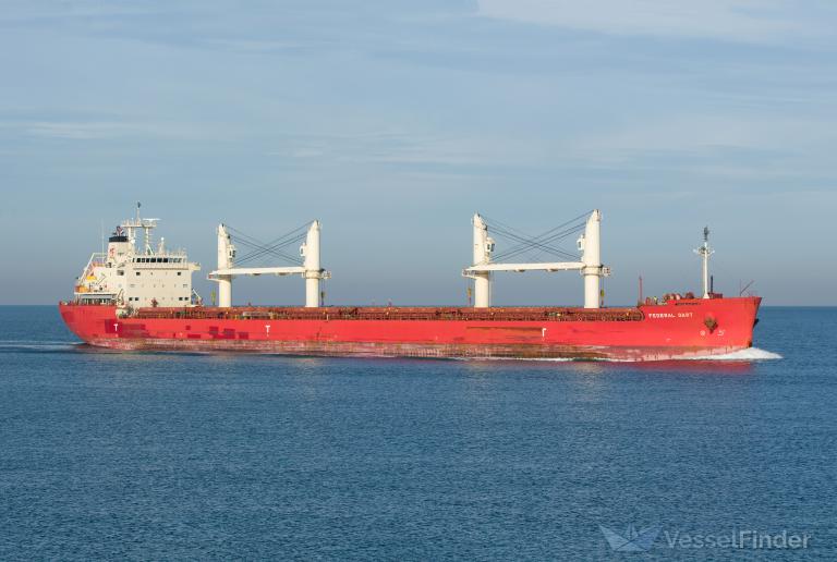 FEDERAL DART, Bulk Carrier - Gemi detayları ve güncel harita konumu ...