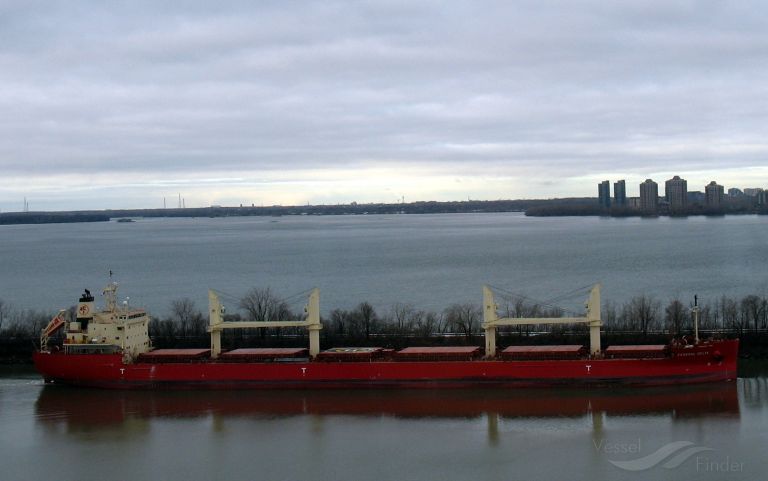 FEDERAL DELTA, Bulk Carrier - Skibsdetaljer og nuværende position - IMO ...