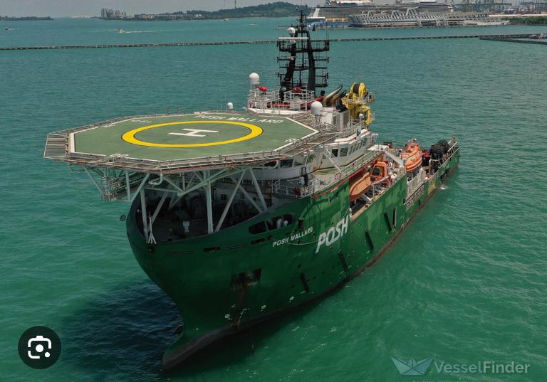 POSH MALLARD, Offshore Support Vessel - Details and current position ...
