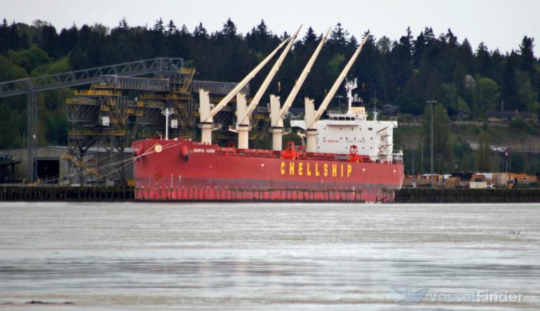 DARYA VIDYA, Bulk Carrier - Details and current position - IMO 9815953 ...